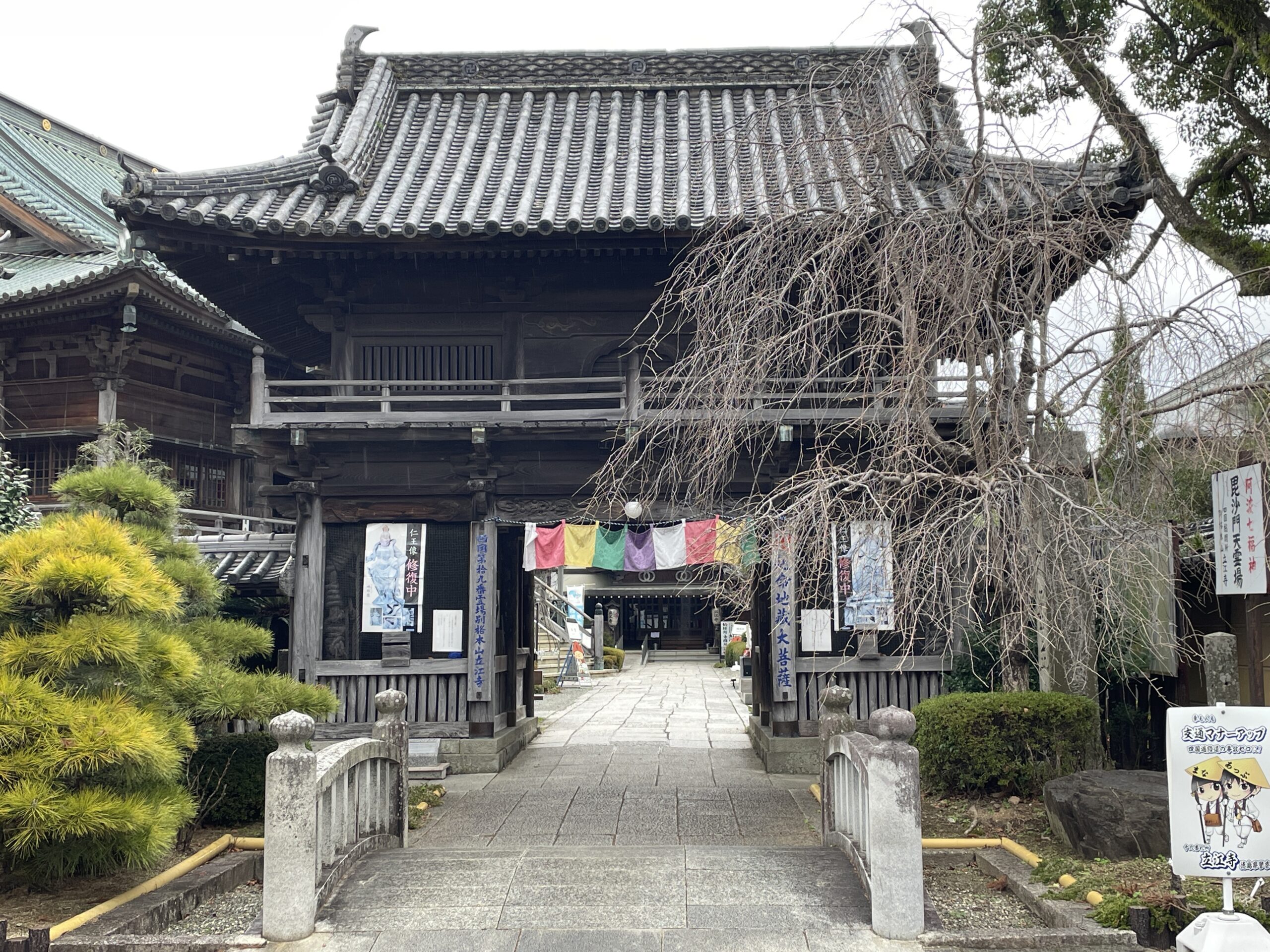 山の翁と出会う | IOTIO（イオティオ）